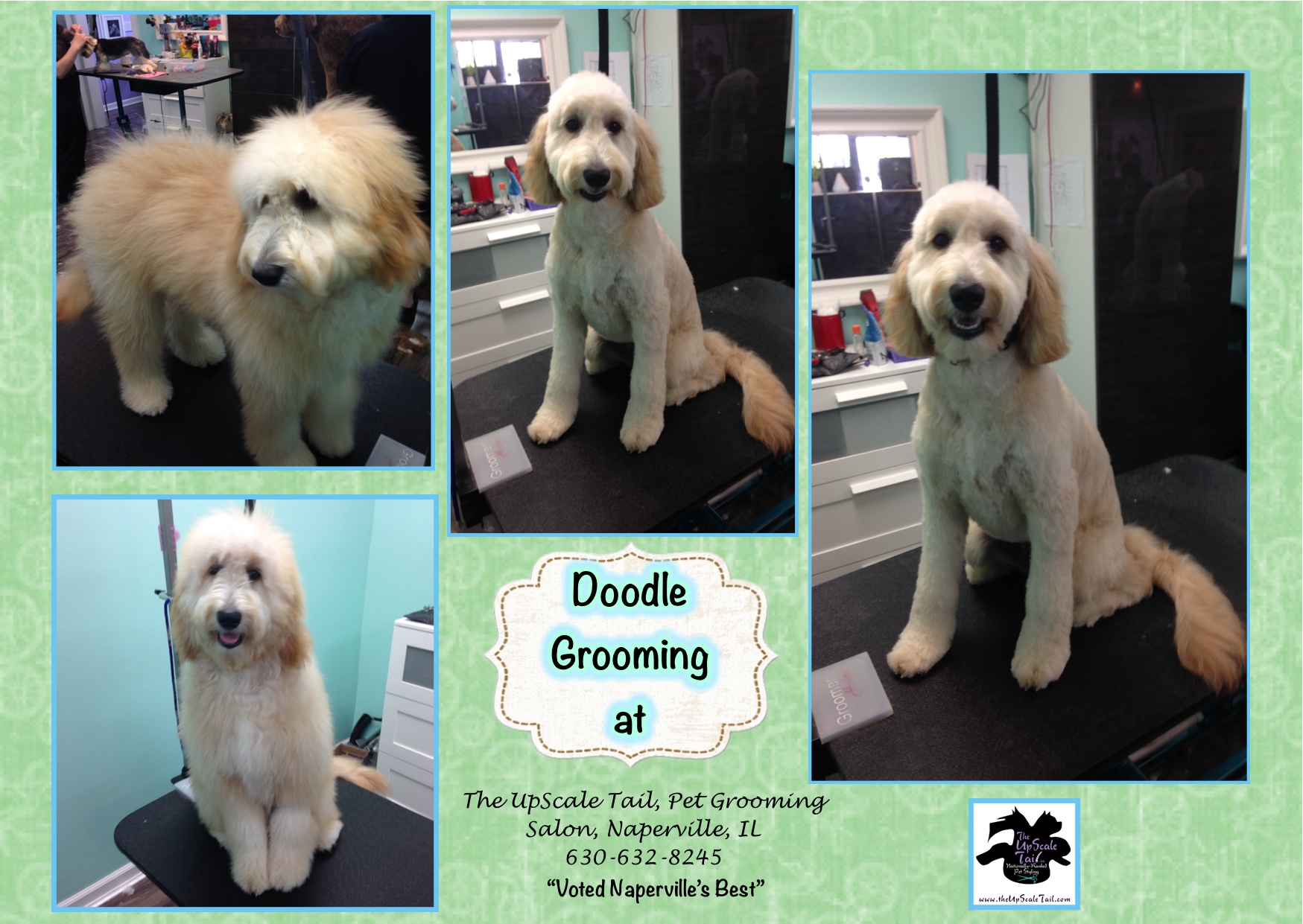 The UpScale Tail Pet Grooming Salon in Naperville, IL - Salon Makeovers