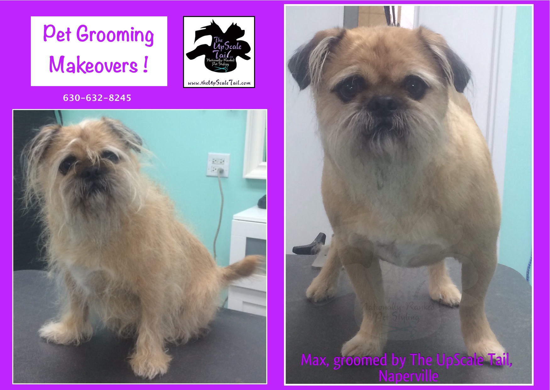 The UpScale Tail Pet Grooming Salon in Naperville, IL - Salon Makeovers